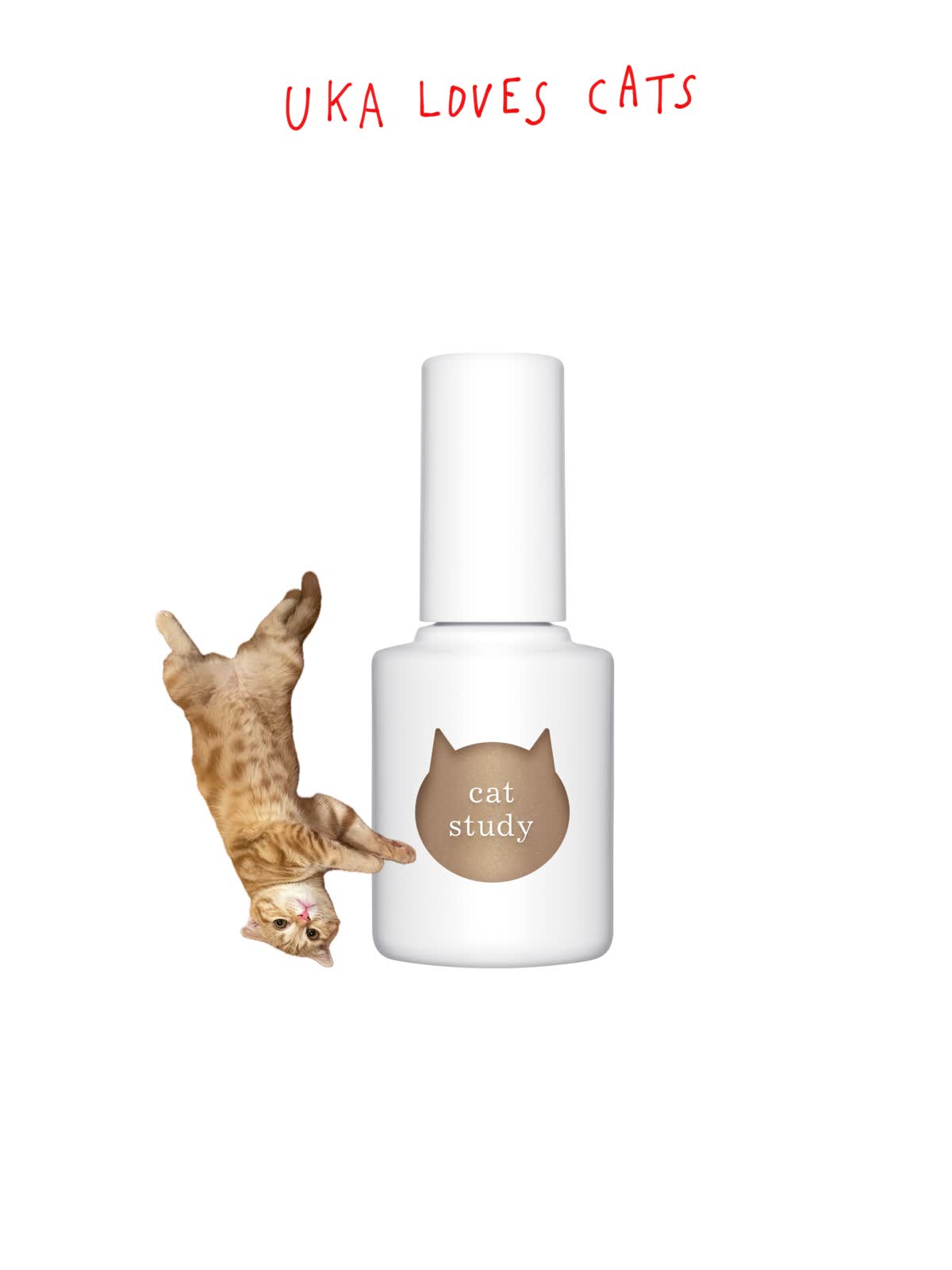 uka cat study。2月15日(木)よりukainnさま限定で事前予約スタート！ - LUCUA osaka（ルクア大阪）